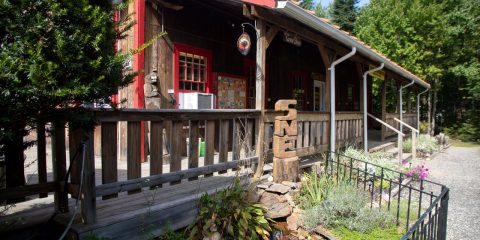 How Do Parachutes Work? Understanding Parachute Mechanics | Skydive New ...